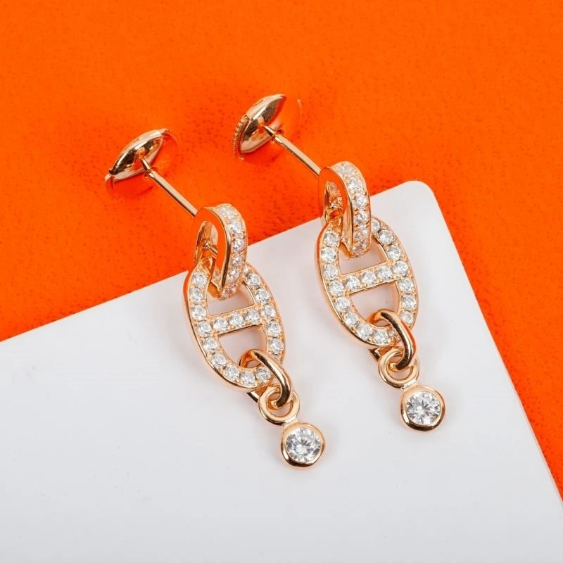 Reasonably priced Hermes Earrings