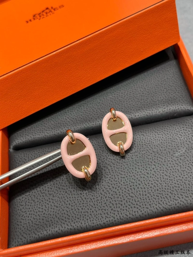 Low-cost Hermes Earrings