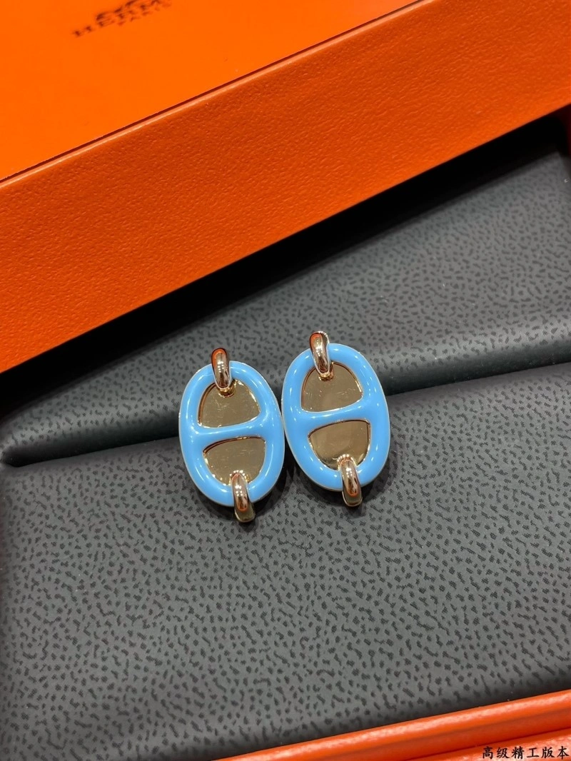 Top match Hermes Earrings