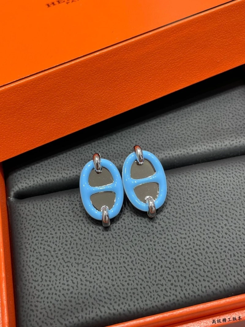 Top match Hermes Earrings
