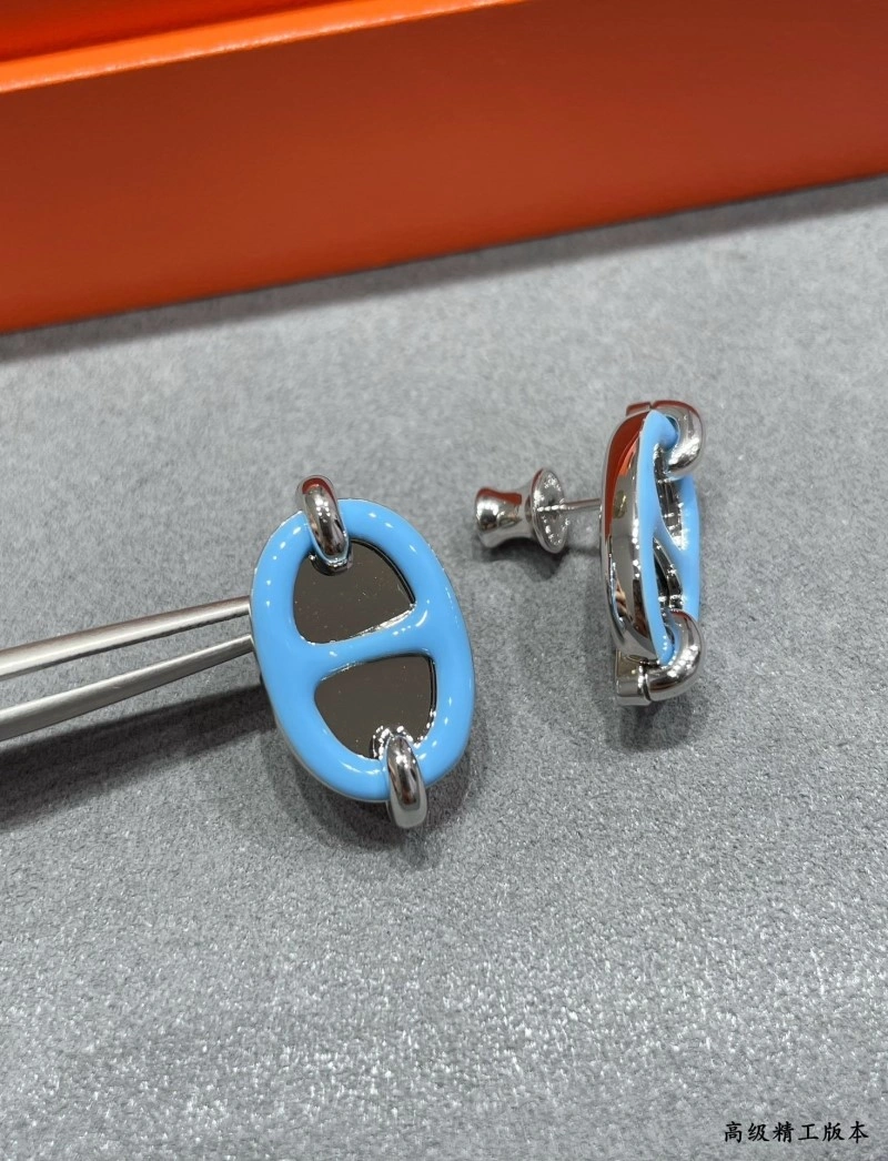 Top match Hermes Earrings