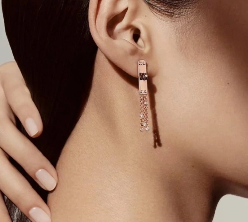 Hermes Earrings