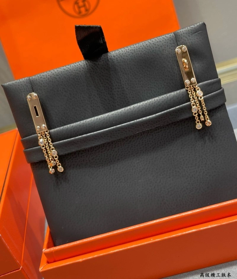 Top mirror Hermes Earrings