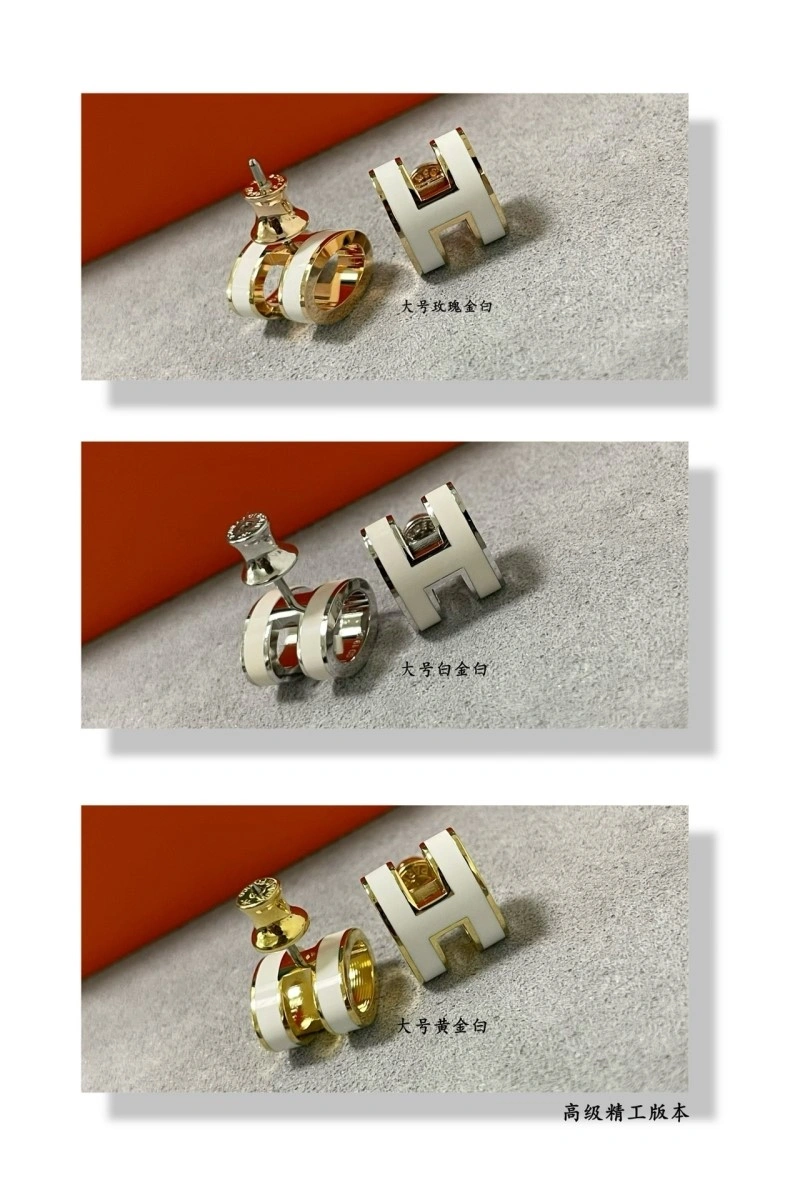 Top mirror Hermes Earrings