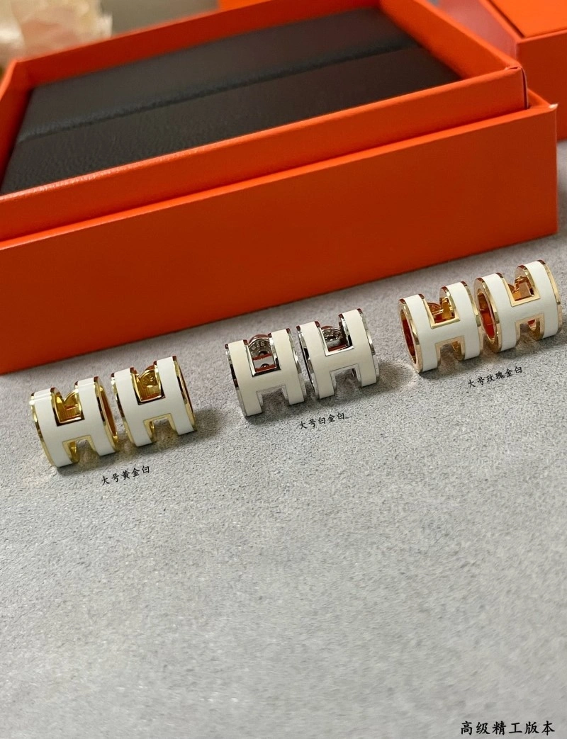Top mirror Hermes Earrings