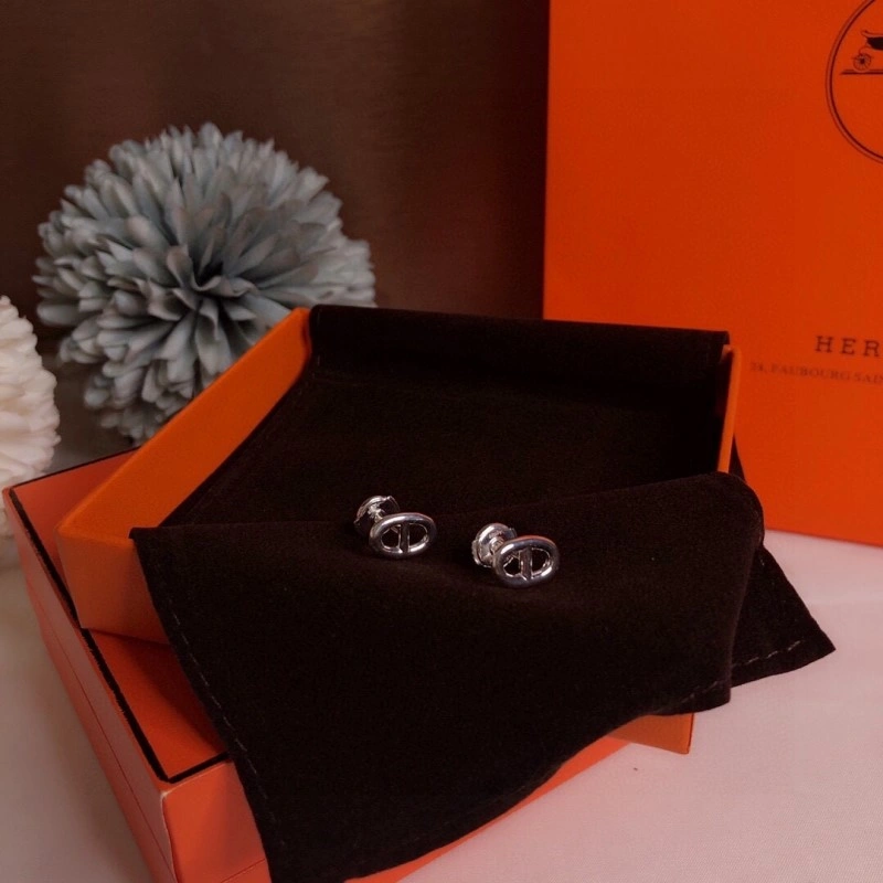 Top mirror Hermes Earrings