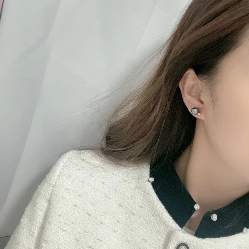 Perfect replica Hermes Earrings