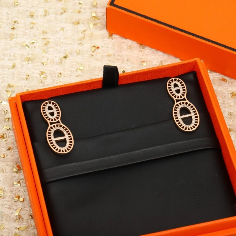 Cut-rate Hermes Earrings