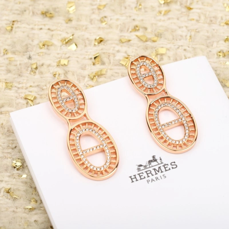 Cut-rate Hermes Earrings