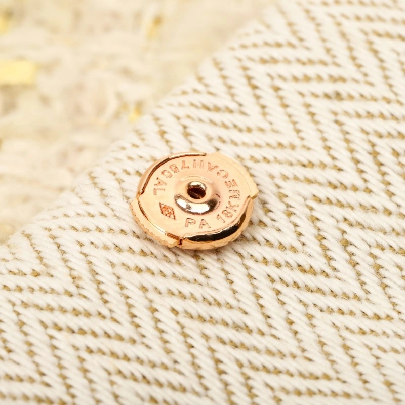 Brand-original Hermes Earrings