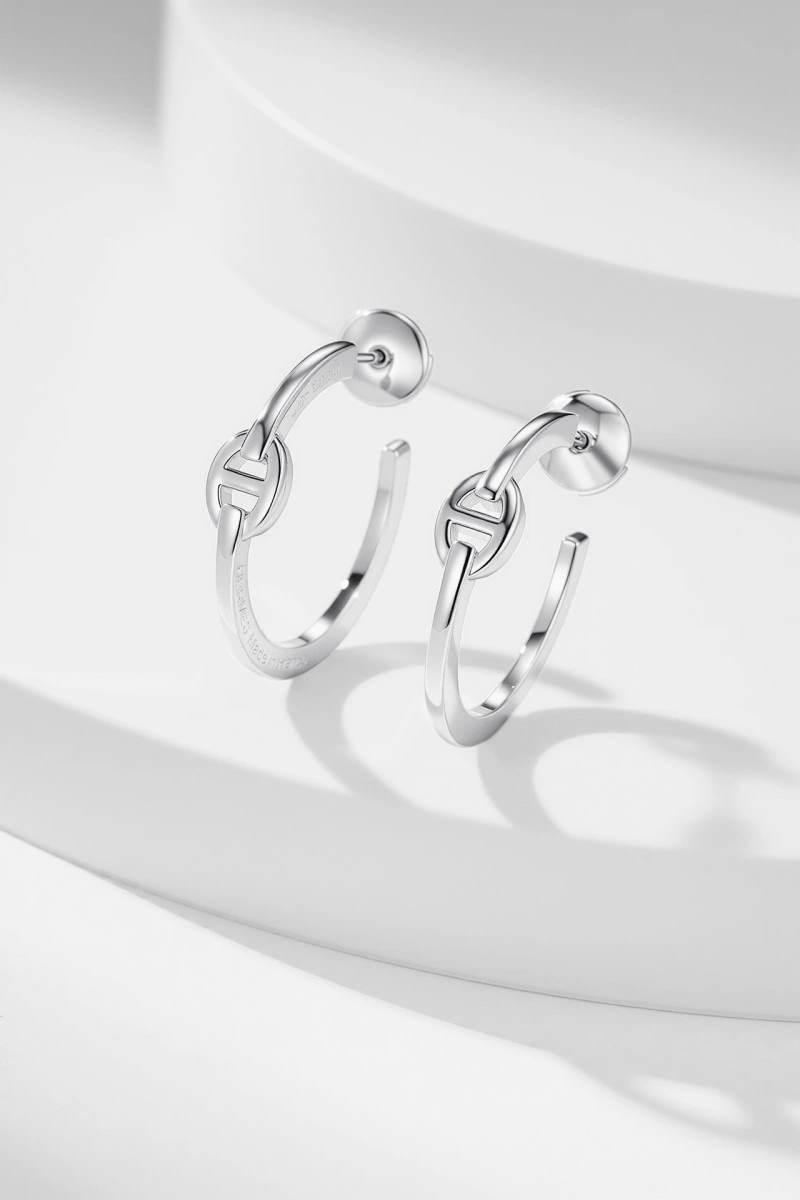 Hermes Earrings