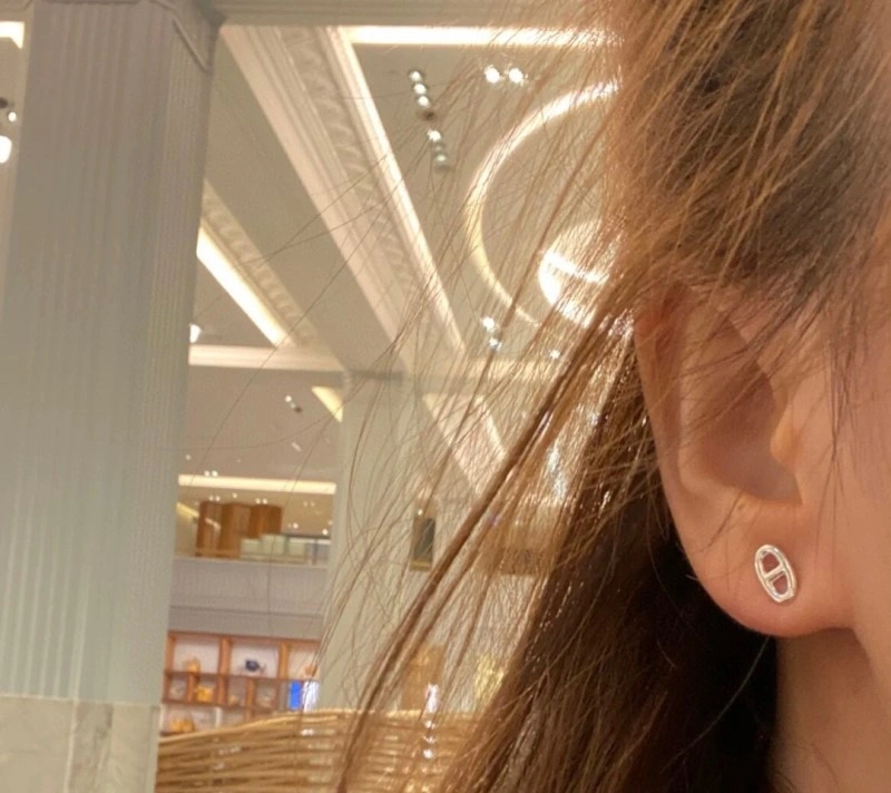 Original Hermes Earrings