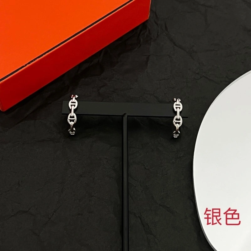 Economical Hermes Earrings