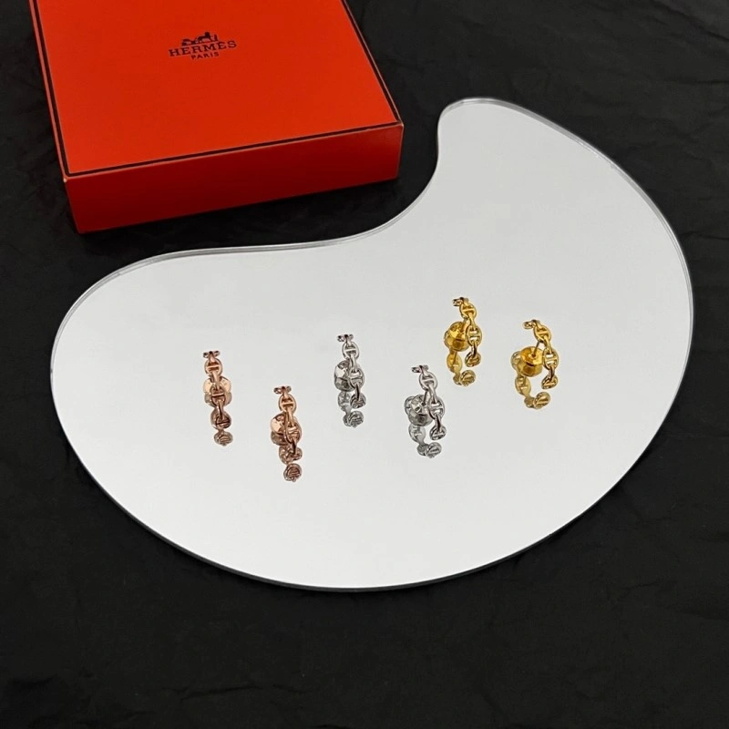 Economical Hermes Earrings