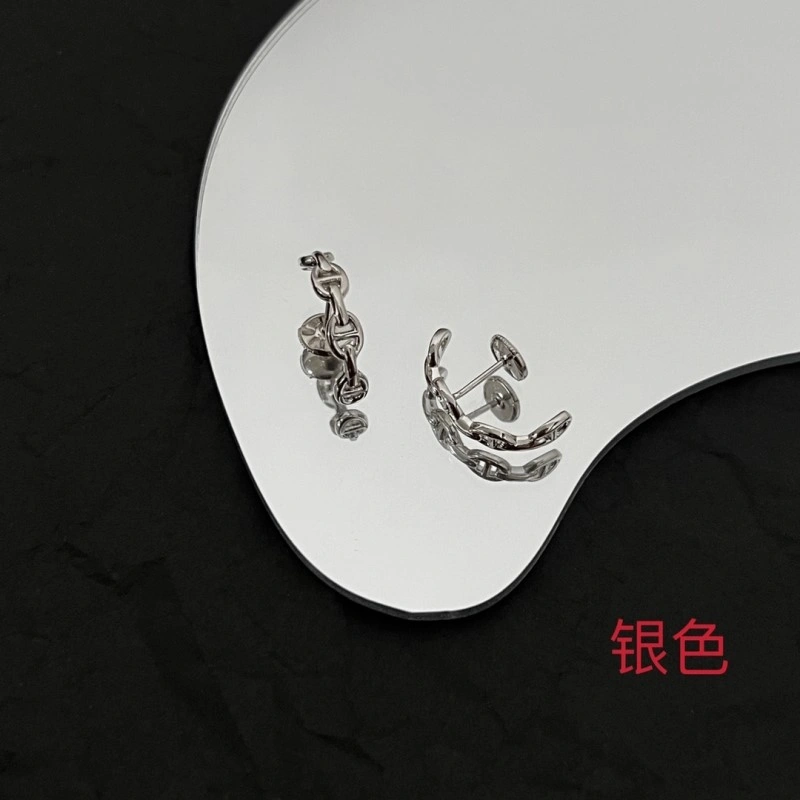 Economical Hermes Earrings