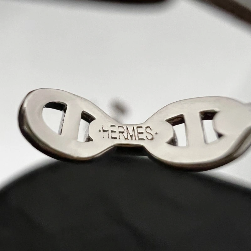 Economical Hermes Earrings