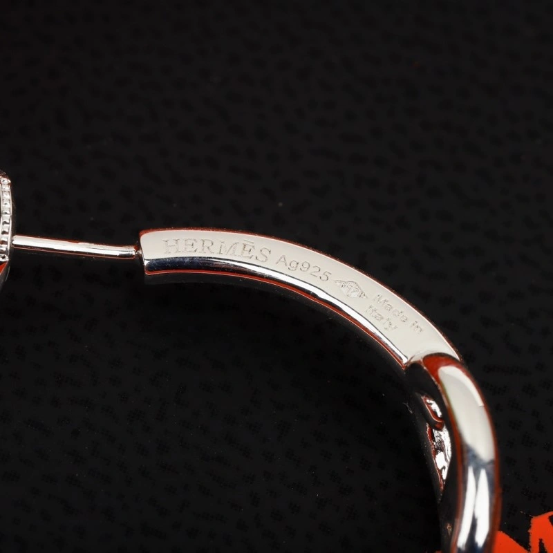 Original Hermes Earrings