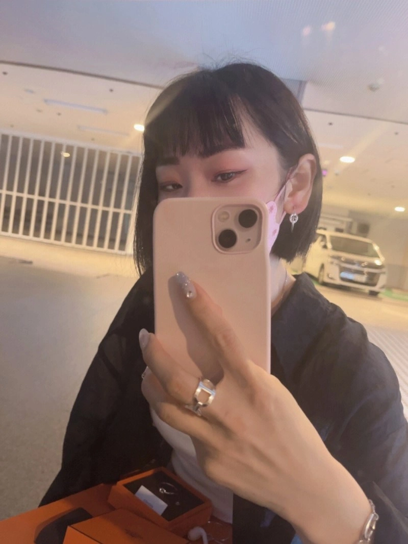 Original Hermes Earrings