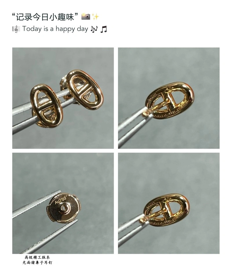 Real Hermes Earrings