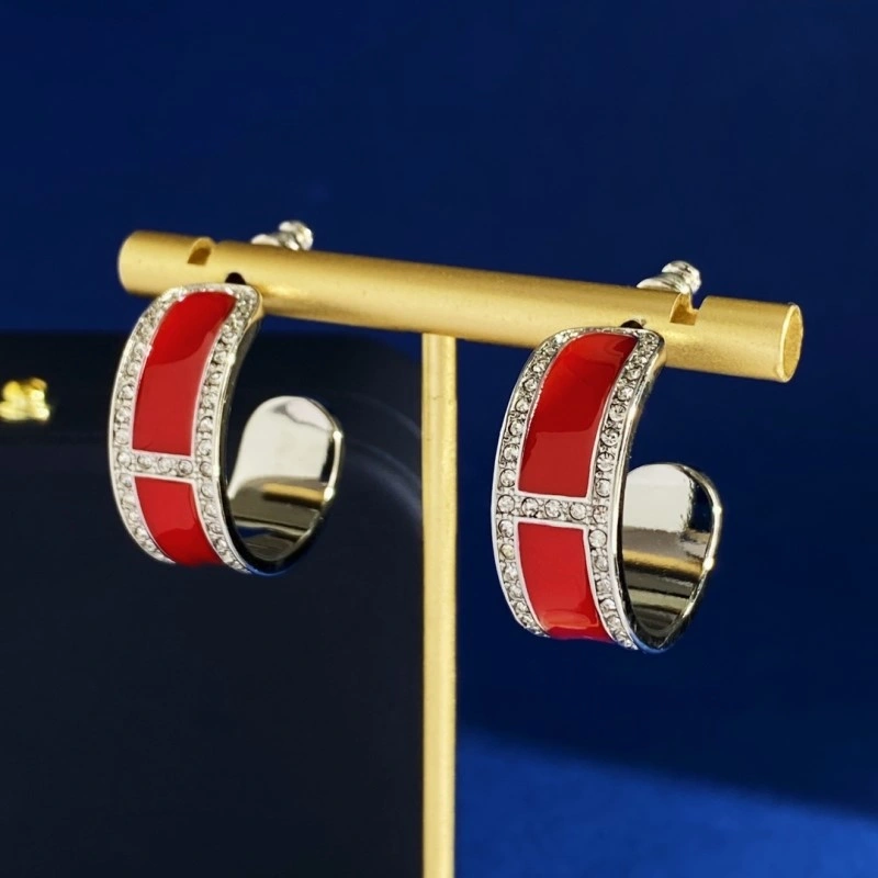 Cut-rate Hermes Earrings