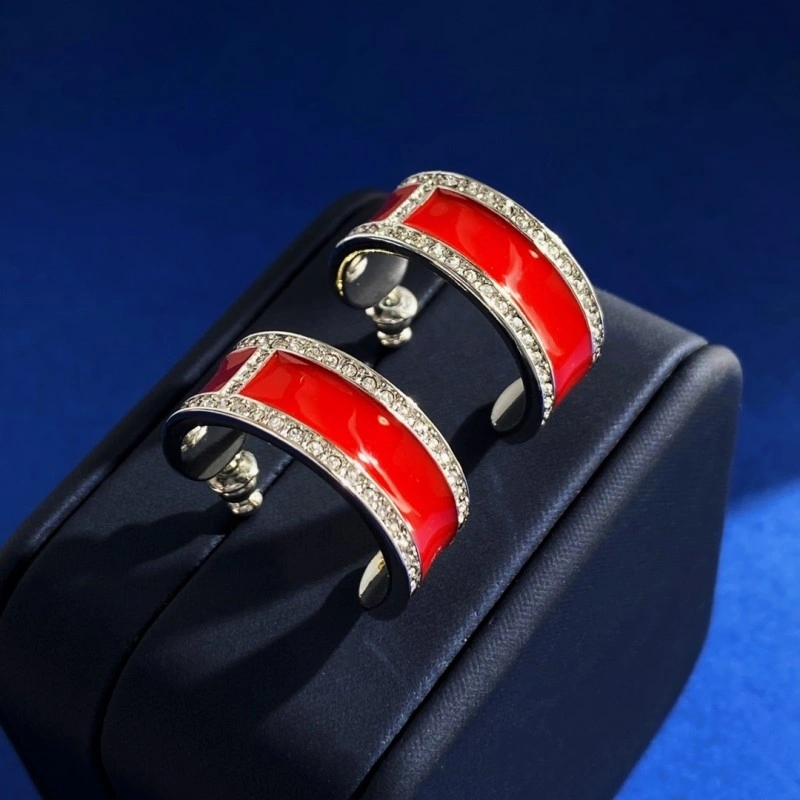 Cut-rate Hermes Earrings