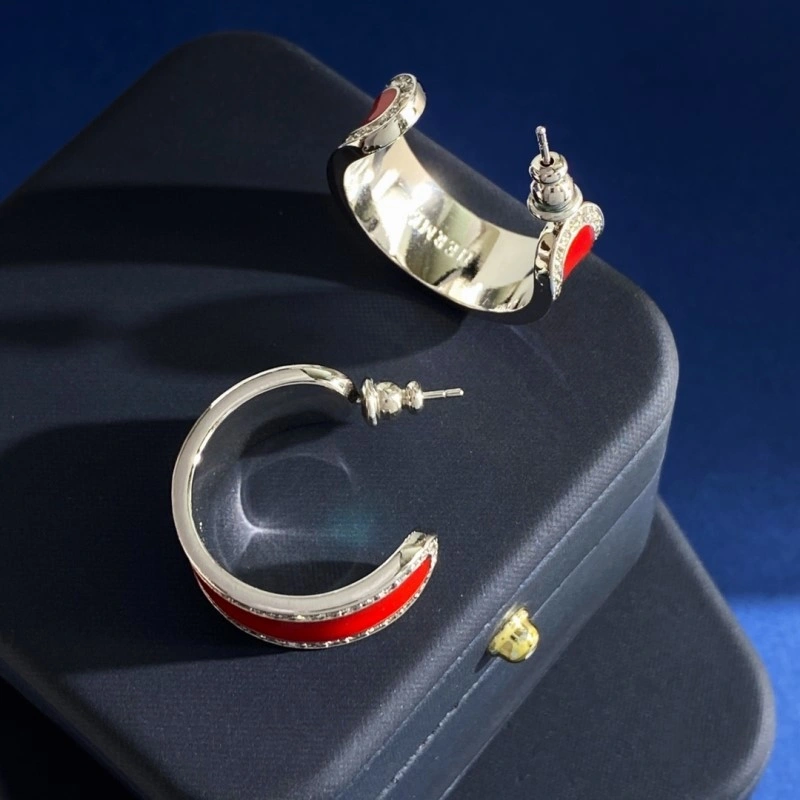 Cut-rate Hermes Earrings