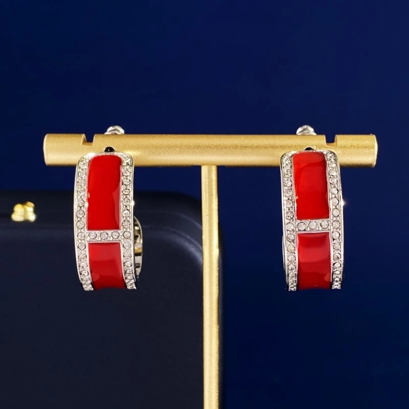 Cut-rate Hermes Earrings