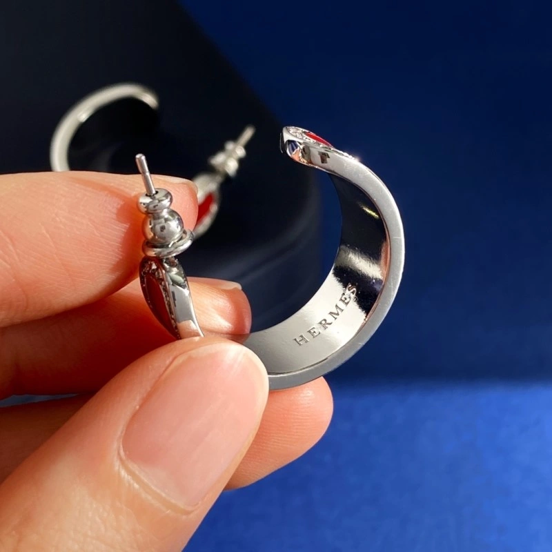 Cut-rate Hermes Earrings