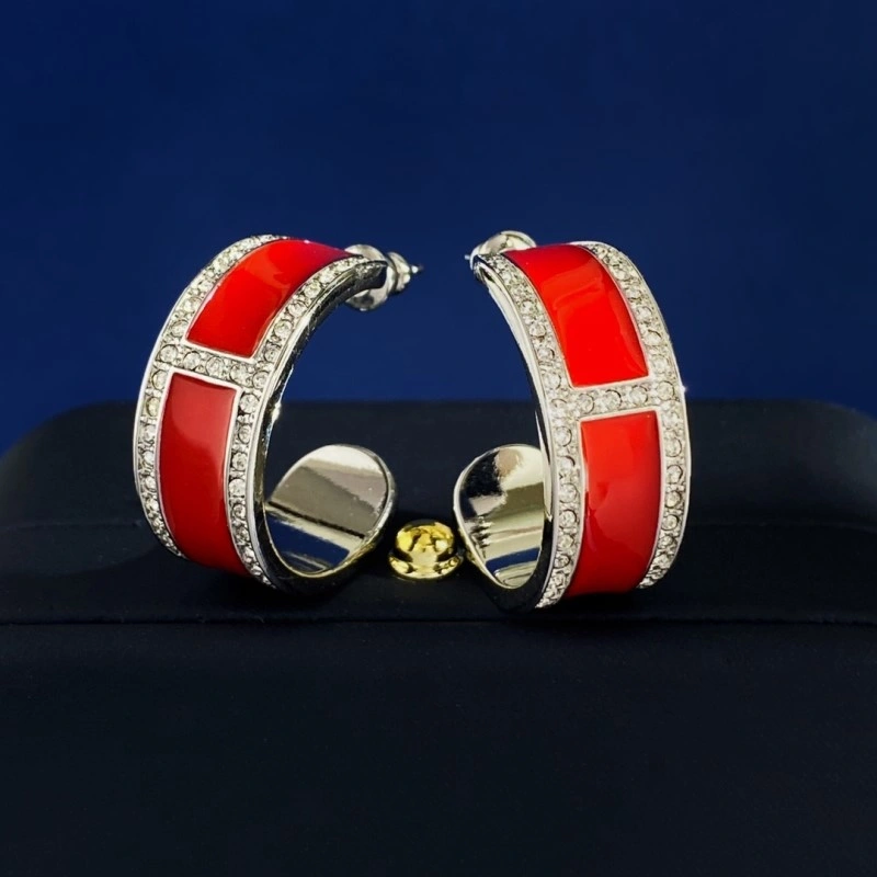 Cut-rate Hermes Earrings