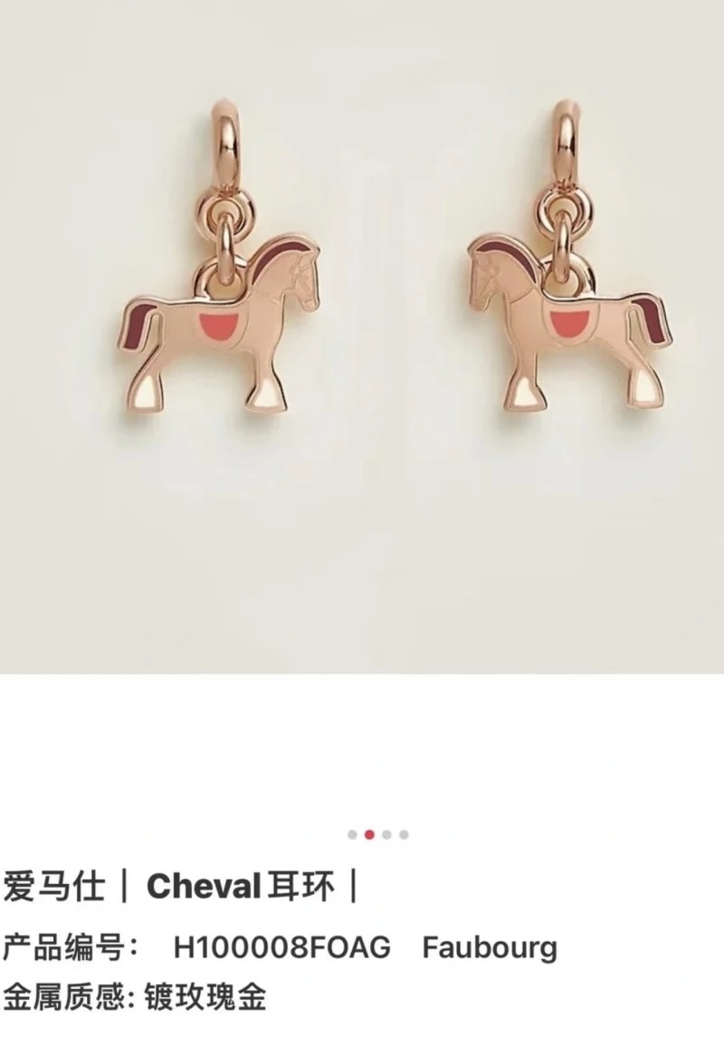 Discounted Hermes Earrings