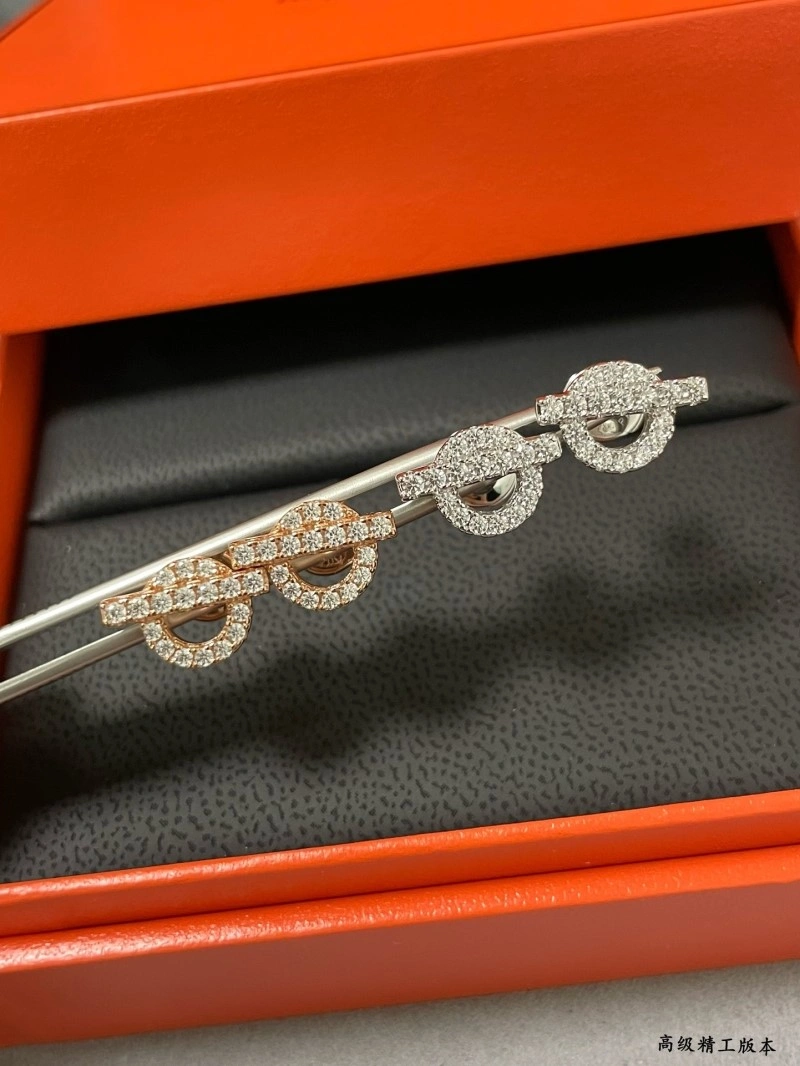 High fidelity Hermes Earrings