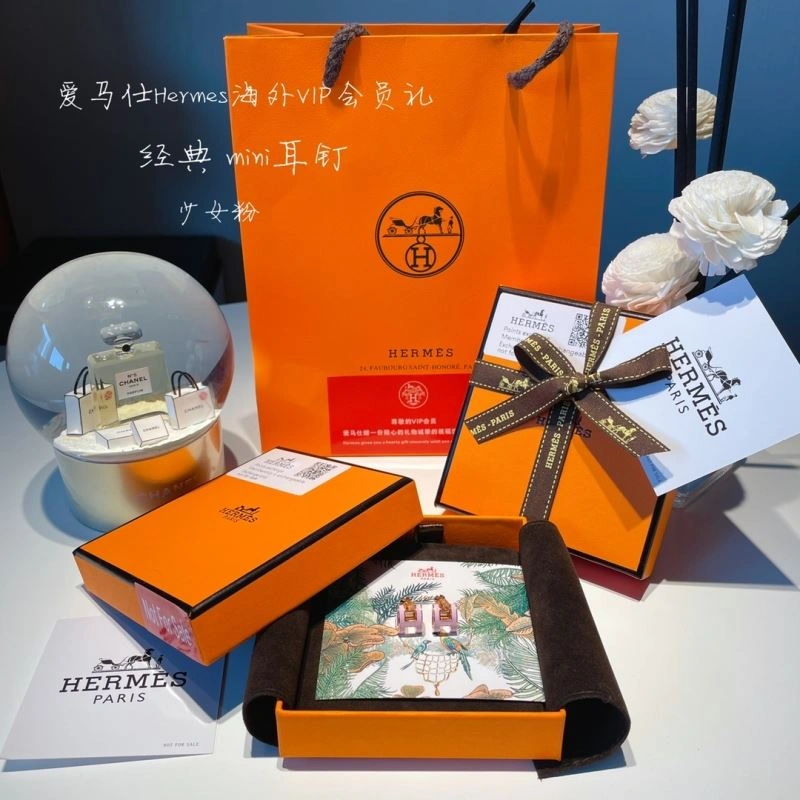 Hermes Earrings