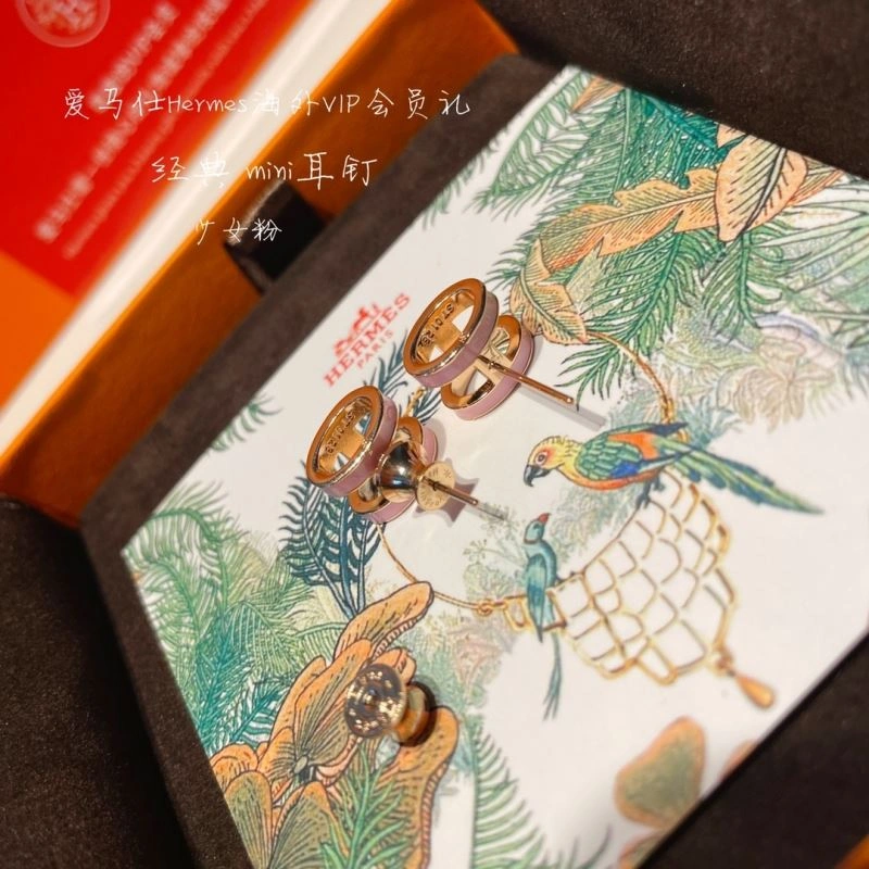Real Hermes Earrings