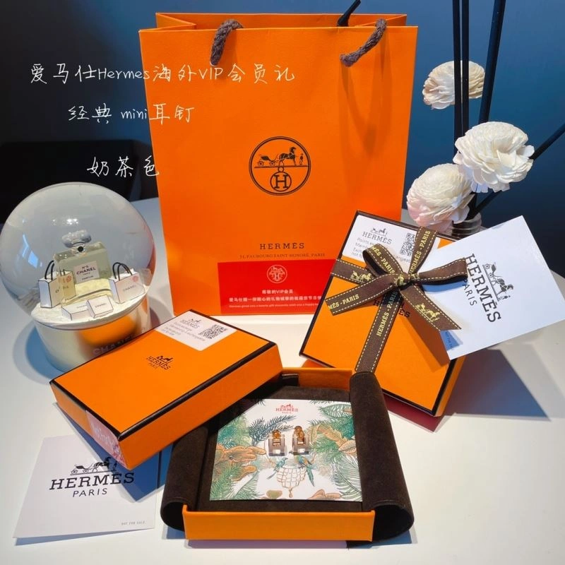 Hermes Earrings