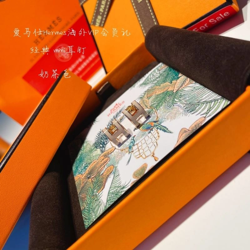 Perfect replica Hermes Earrings