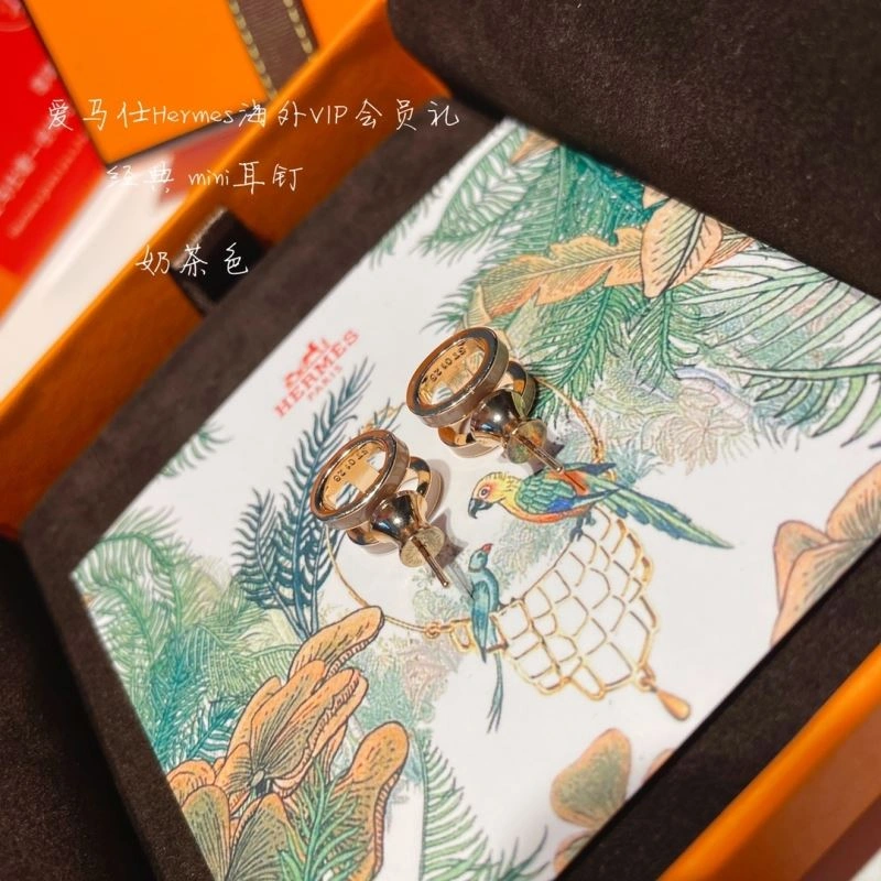 Perfect replica Hermes Earrings