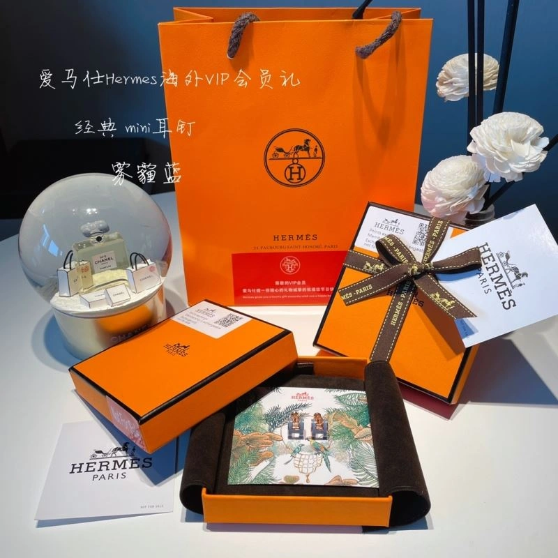 Hermes Earrings