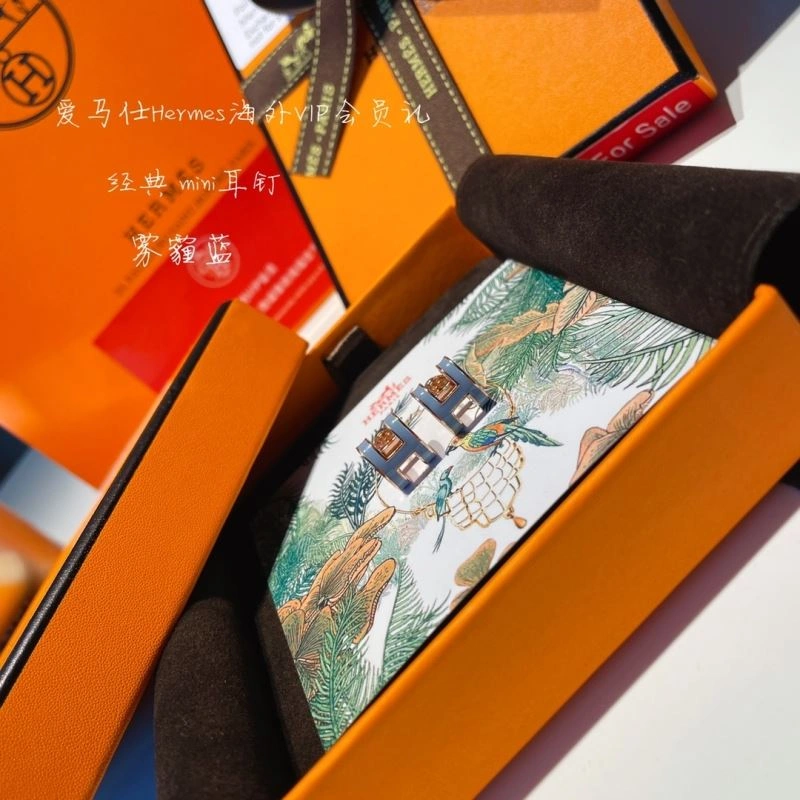 Cut-rate Hermes Earrings