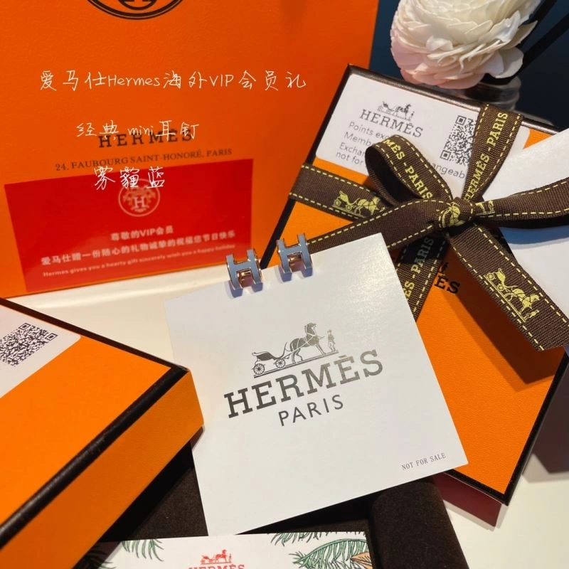Cut-rate Hermes Earrings