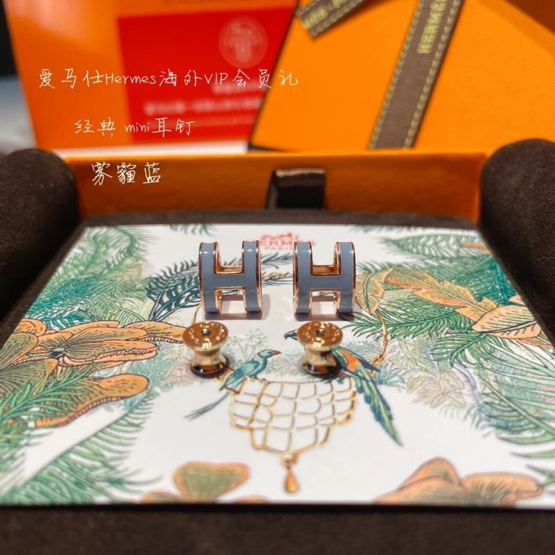 Cut-rate Hermes Earrings