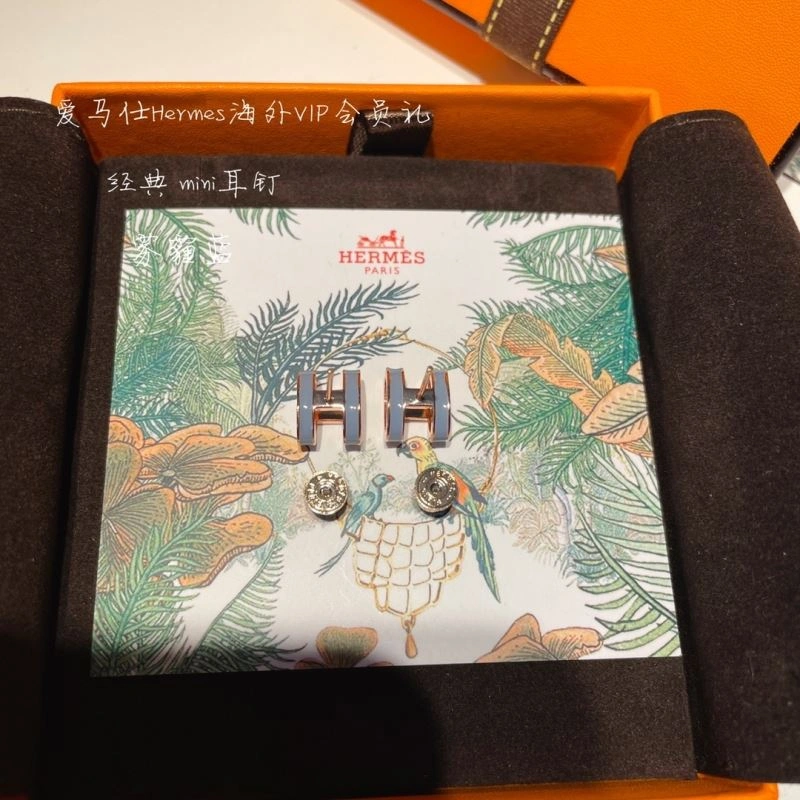 Cut-rate Hermes Earrings