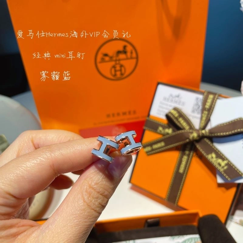 Cut-rate Hermes Earrings