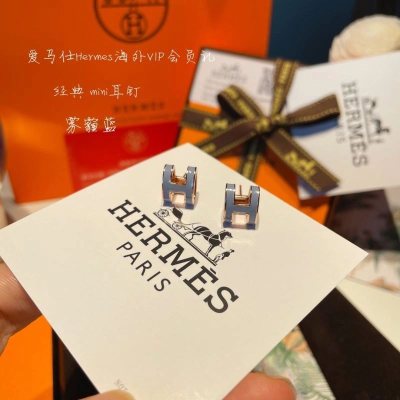 Cut-rate Hermes Earrings