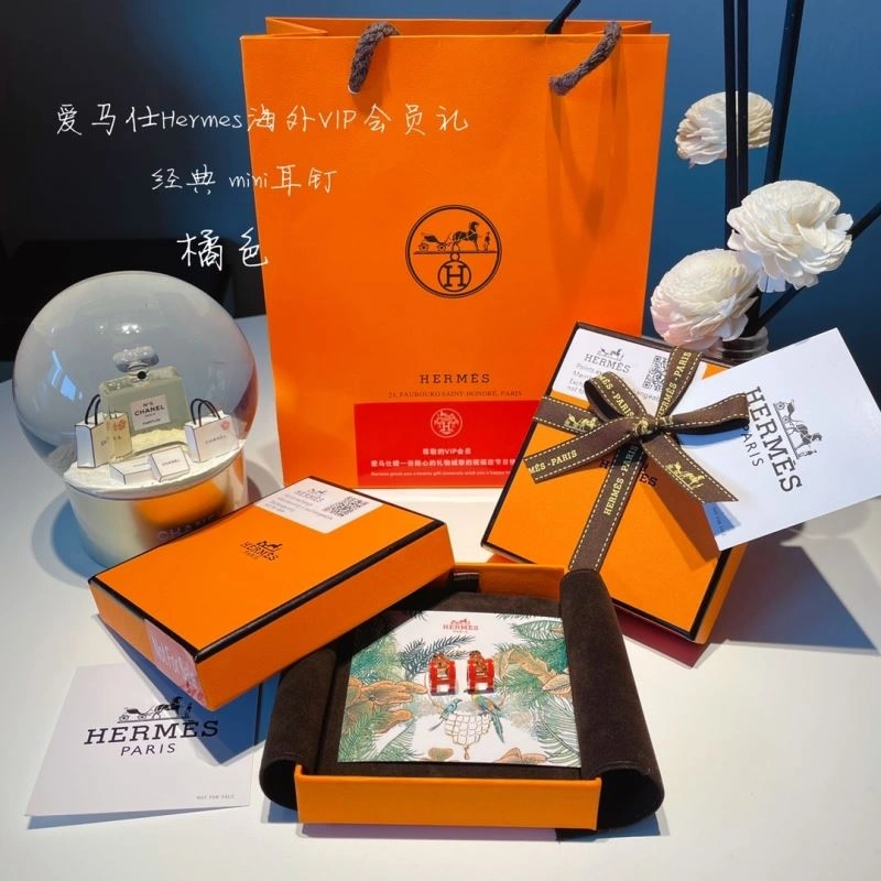 Hermes Earrings