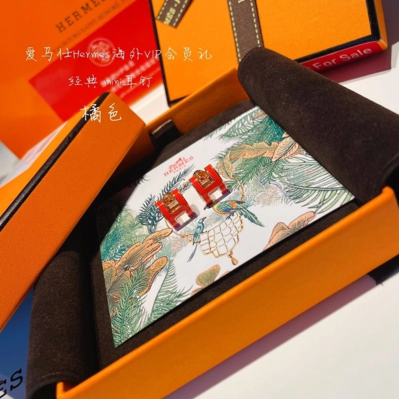 Reasonably priced Hermes Earrings