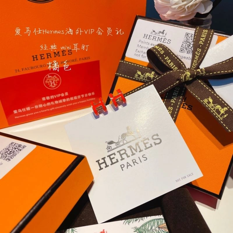 Reasonably priced Hermes Earrings