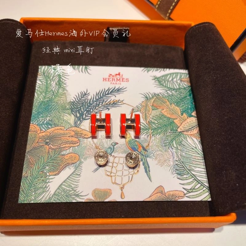 Reasonably priced Hermes Earrings