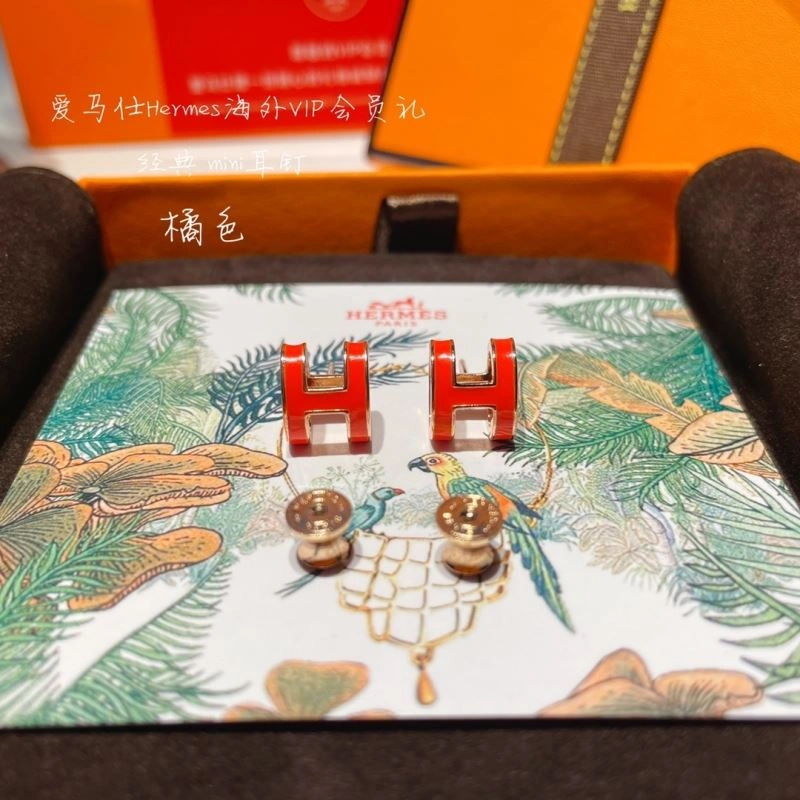Reasonably priced Hermes Earrings