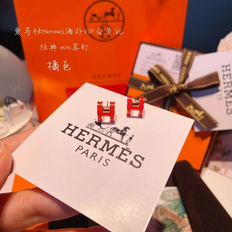 Reasonably priced Hermes Earrings