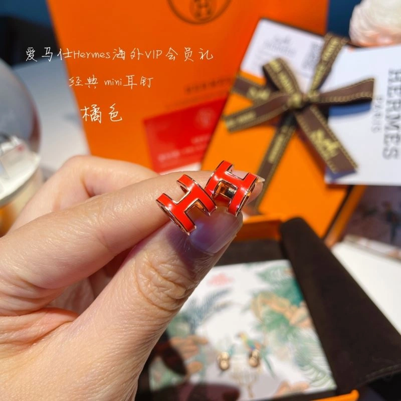 Reasonably priced Hermes Earrings